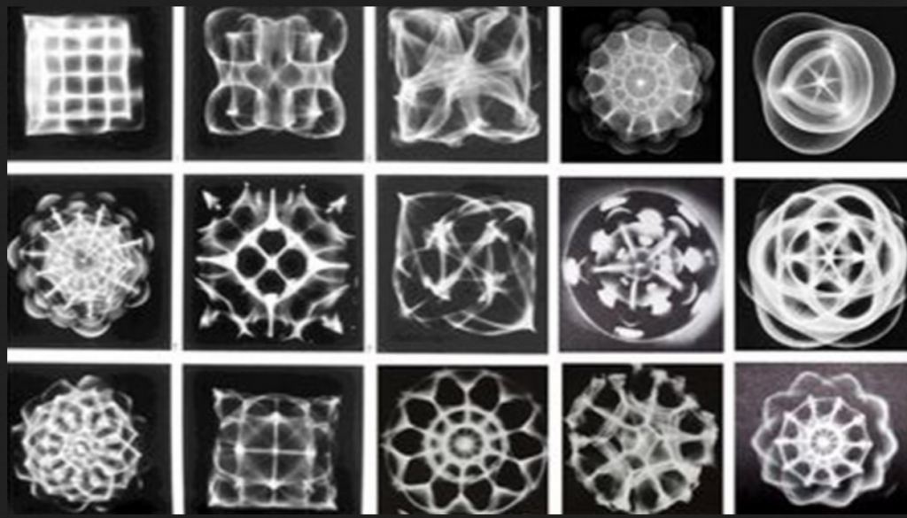 Why Culture Has a Frequency - Evoloshen